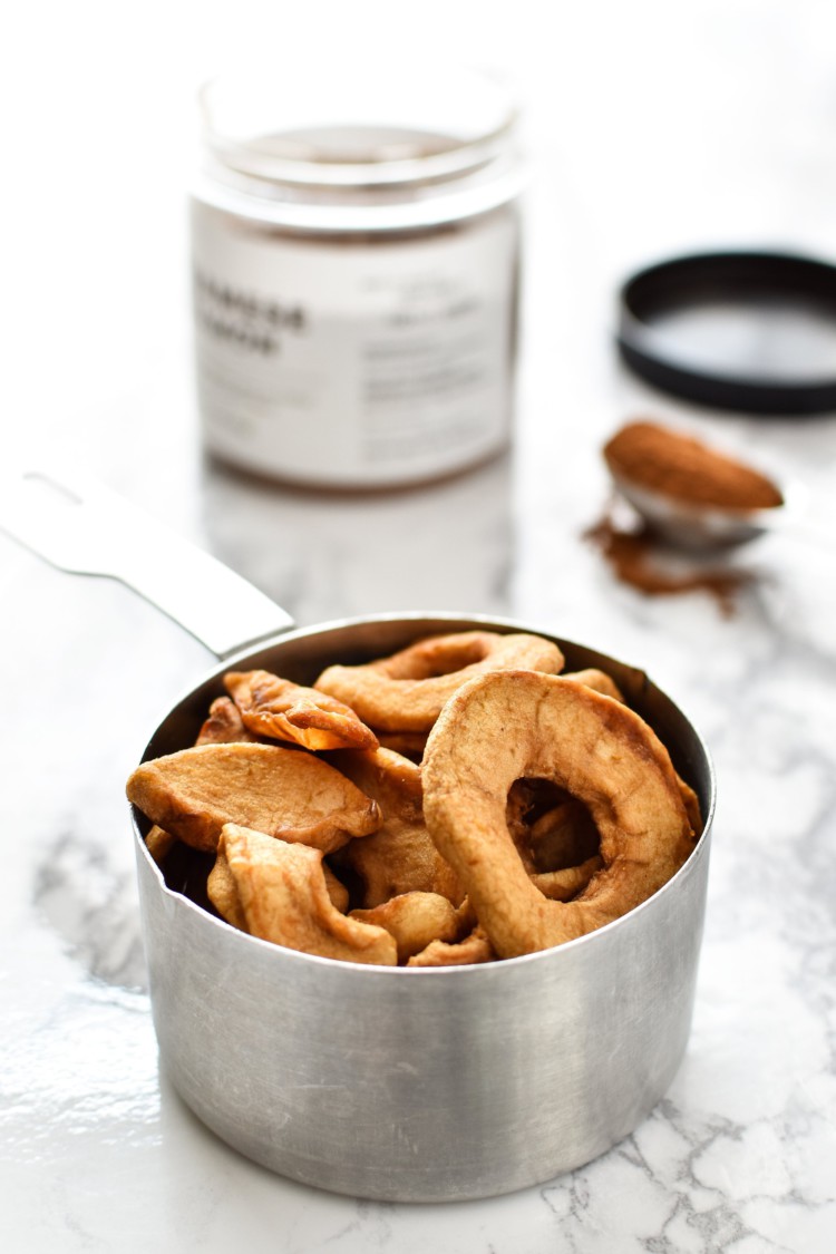 No-Bake Cinnamon Apple Date Bars - Project Meal Plan